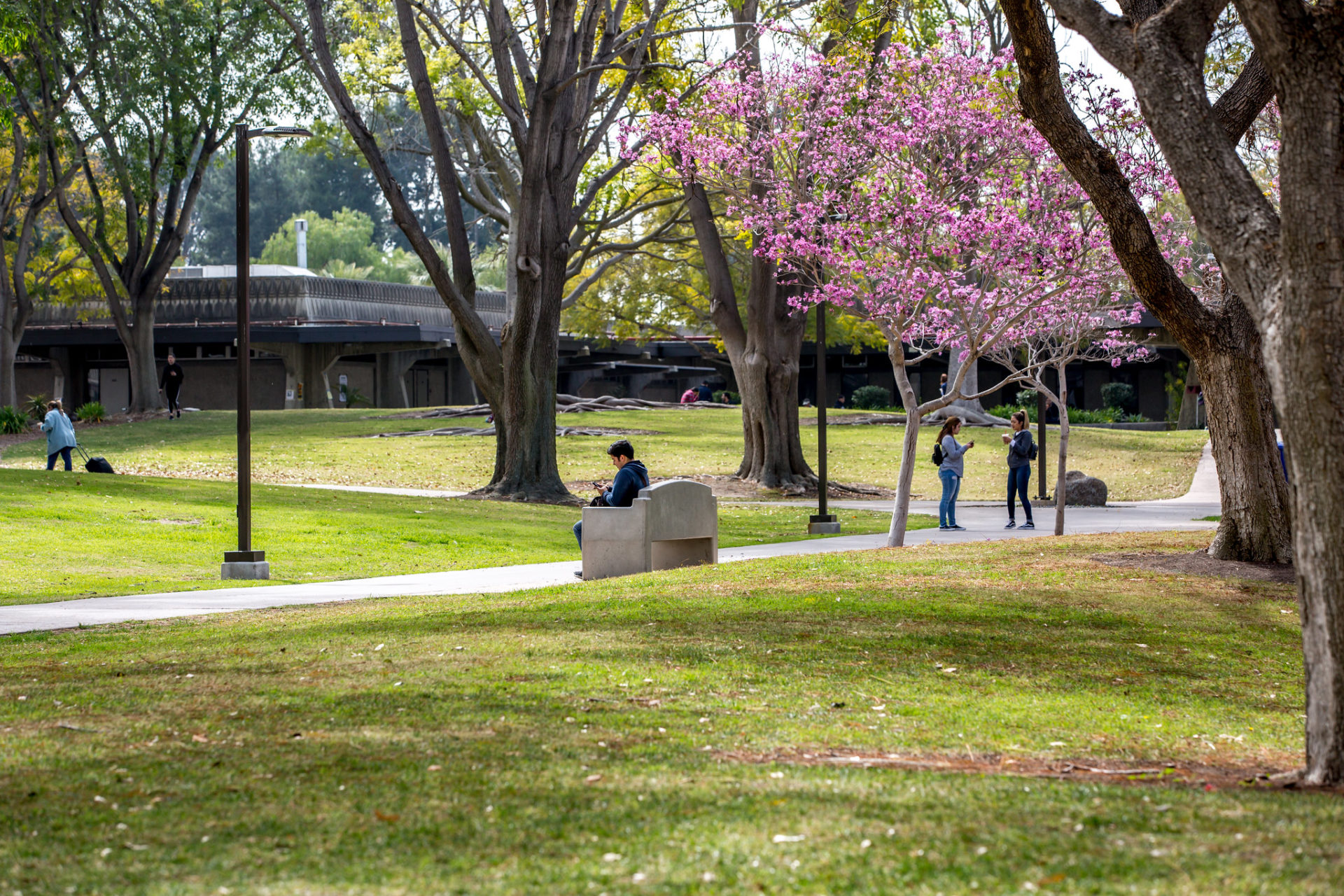 Southwestern College the Site of California Community Colleges Future ...